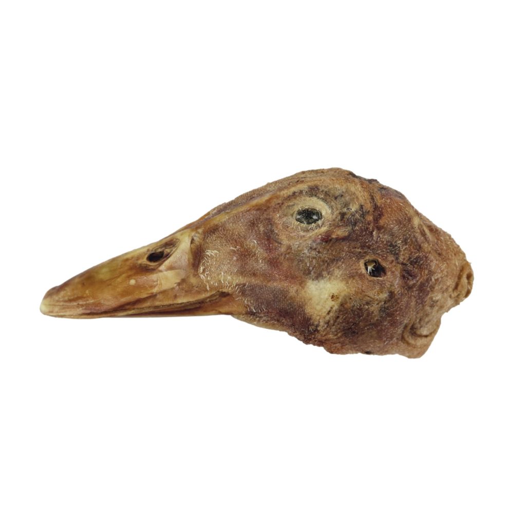 VE RAW BAR Duck Heads Freeze-Dried Treat (1 Piece) - PetlyPro